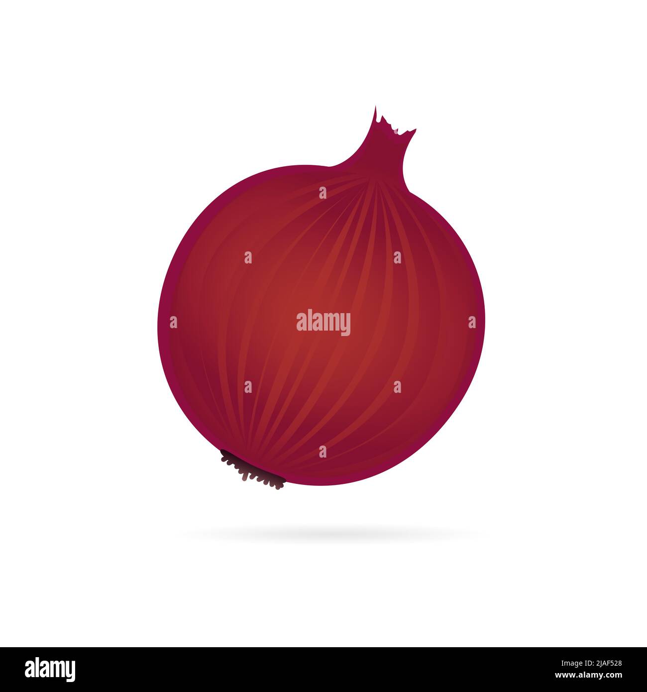 Red onion, flat style vector illustration isolated on white background ...