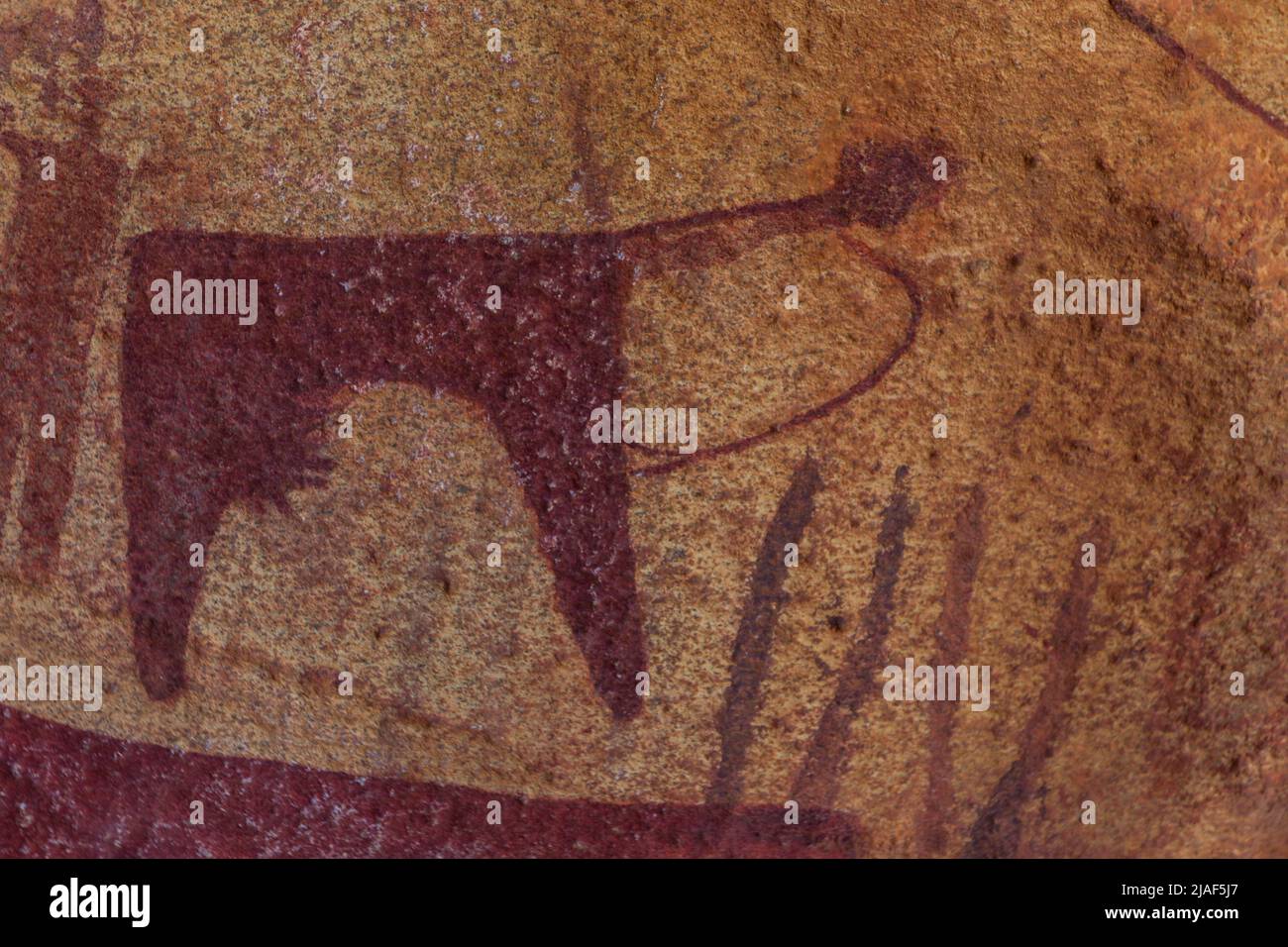 Earliest Cave Art South Africa