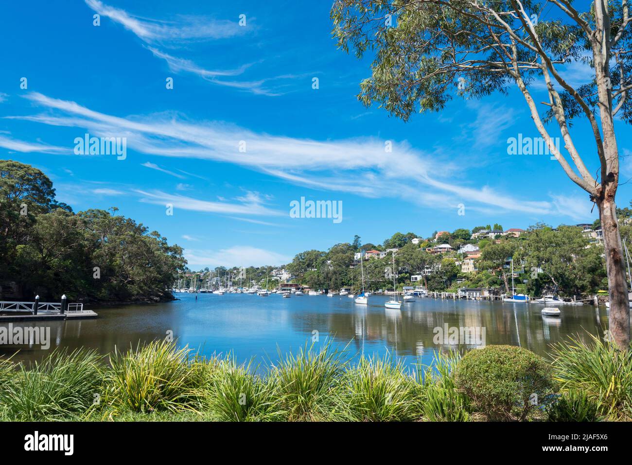 An image of the boat ramp and pontoon at Tunks Park and Middle Harbour ...