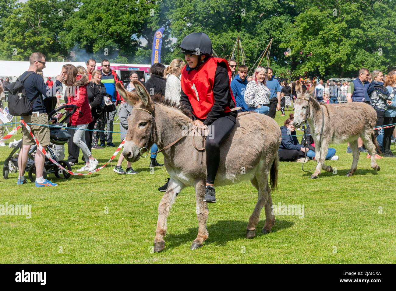 Farnborough donkey derby hi-res stock photography and images - Alamy