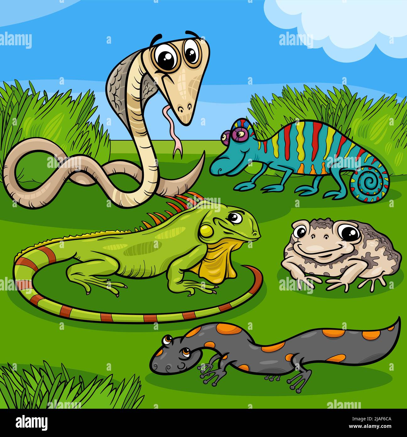 Cartoon illustrations of funny reptiles and amphibians animal ...