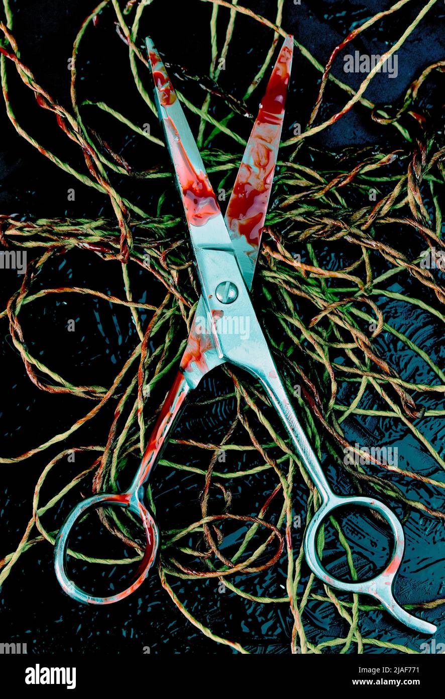 blood scissors shear with thread Stock Photo - Alamy