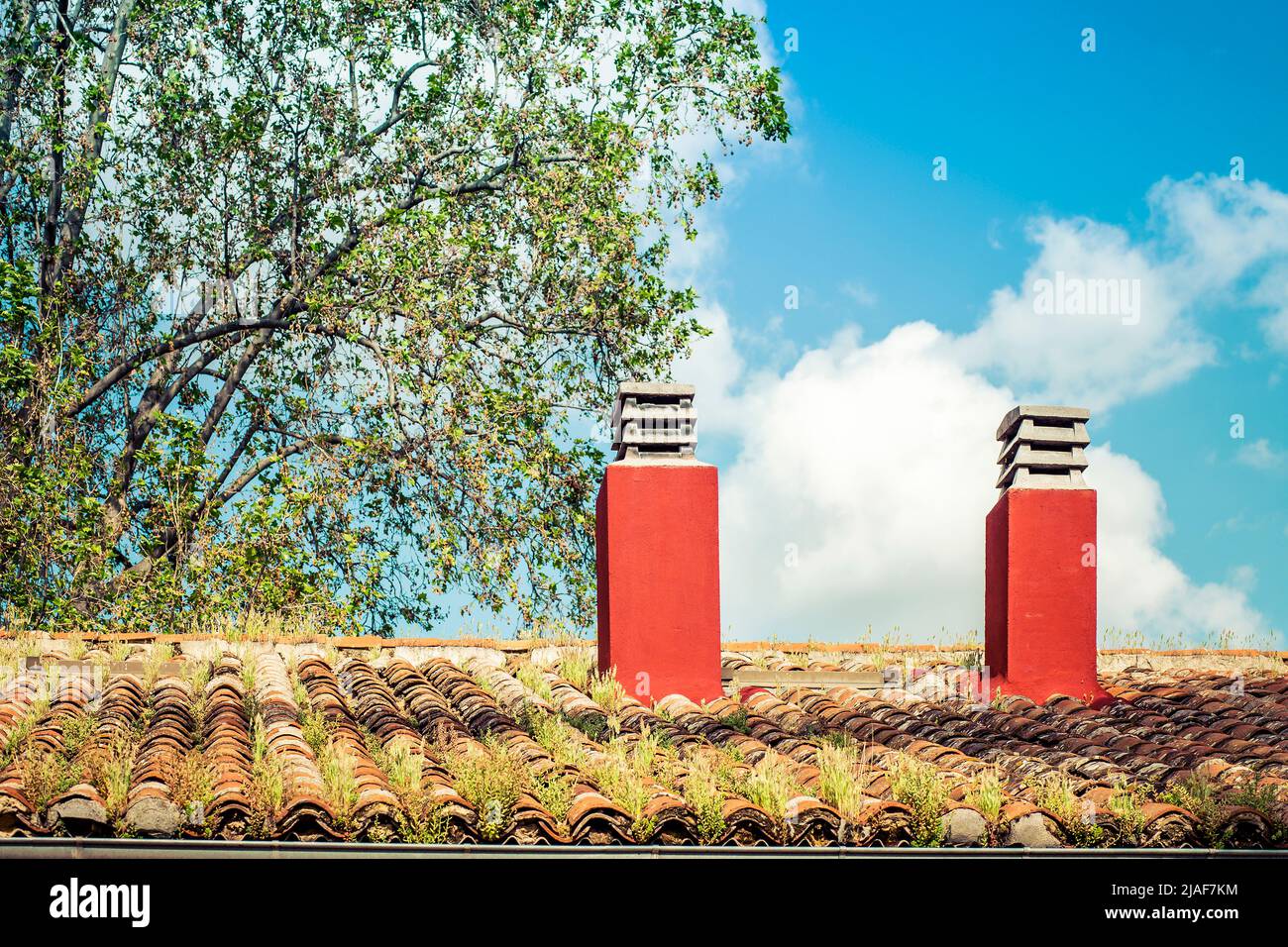 two red chimney on roof tiles covered by vegetation Stock Photo - Alamy