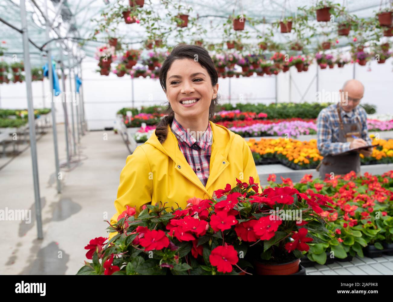 Portrait of a smiling successful young greenhouse owner standing ...