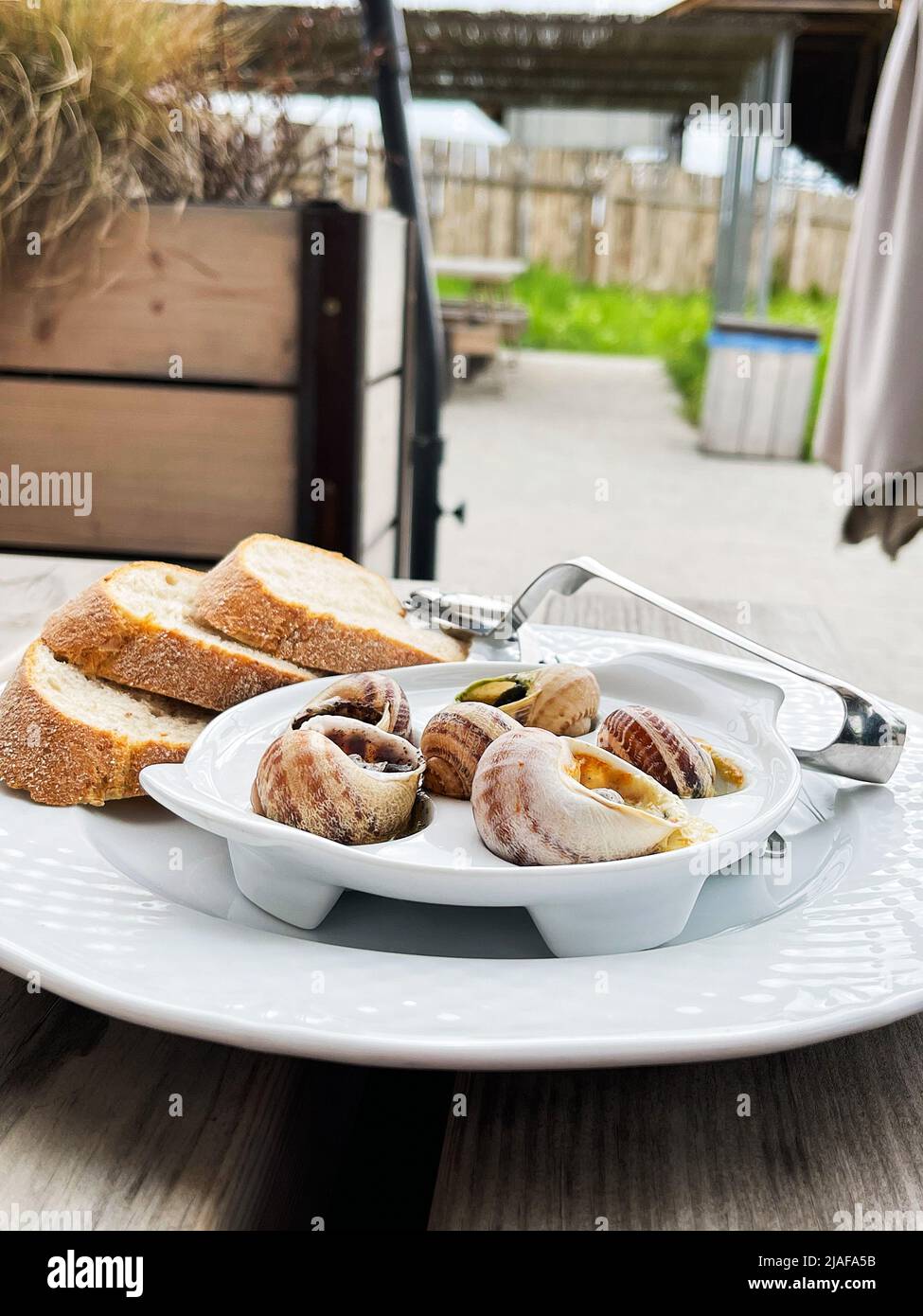 Closeup of eating the fried snails with garlic butter Stock Photo - Alamy