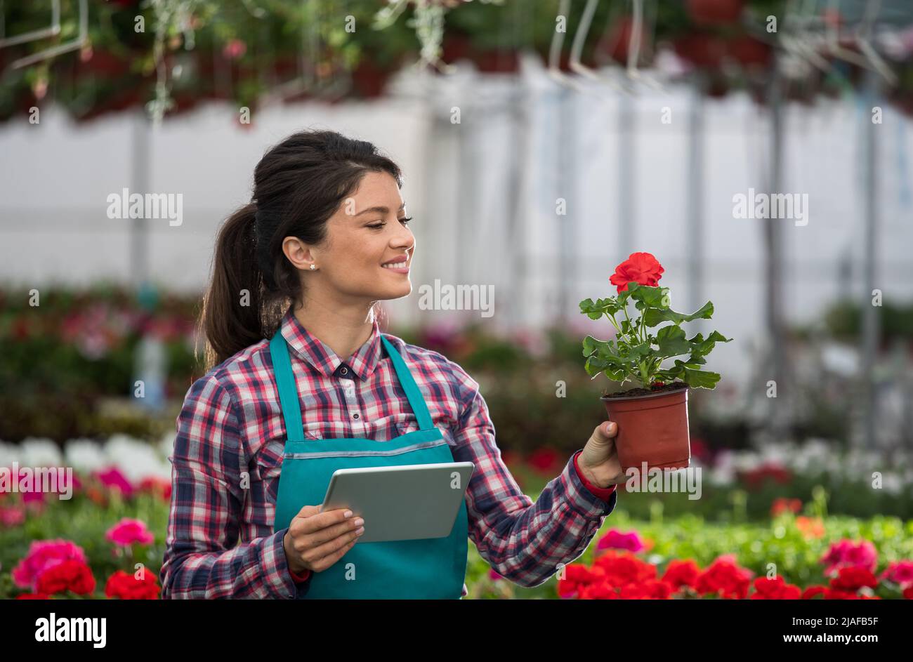Female in hand checking soil hi-res stock photography and images - Alamy