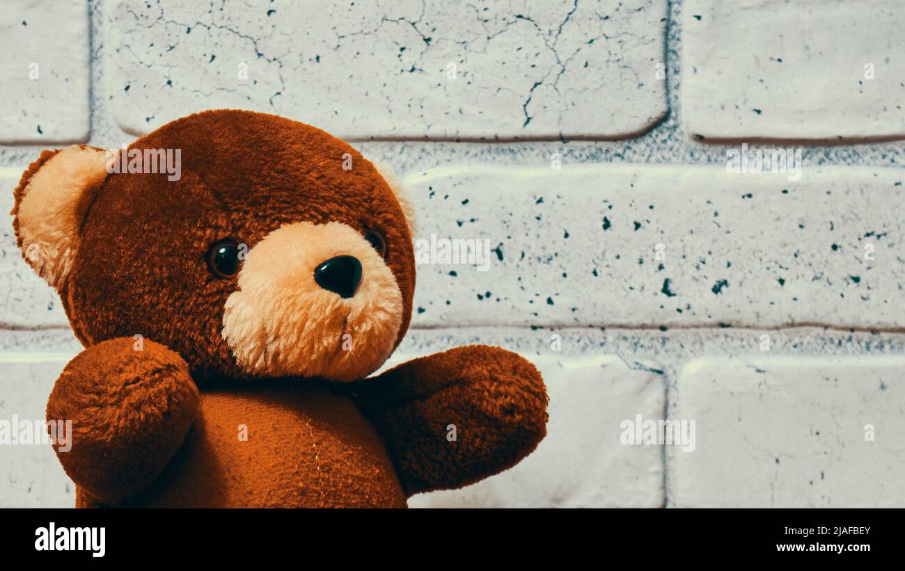 Sad Teddy Bear Wallpaper