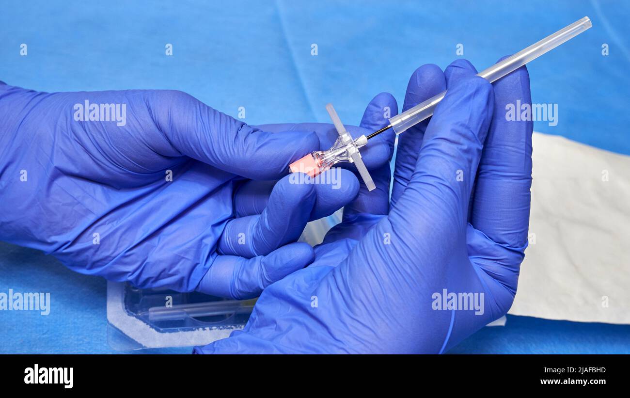 Large medical needle in the hands of a medic in blue gloves Stock Photo ...
