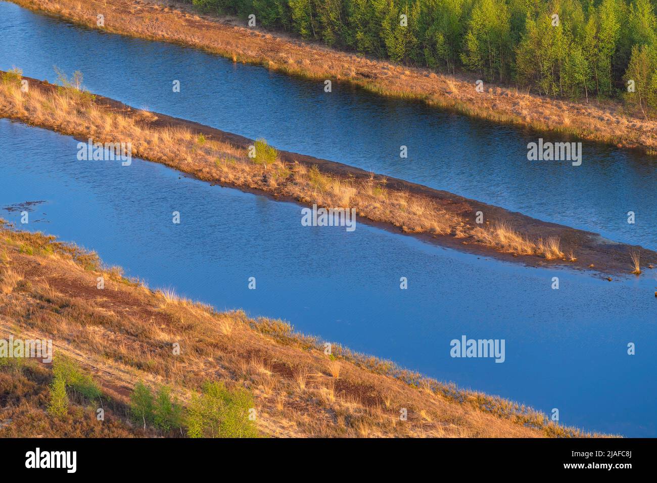 Moor landscape, renaturated high moor after peat harvest, 05/18/2022 ...