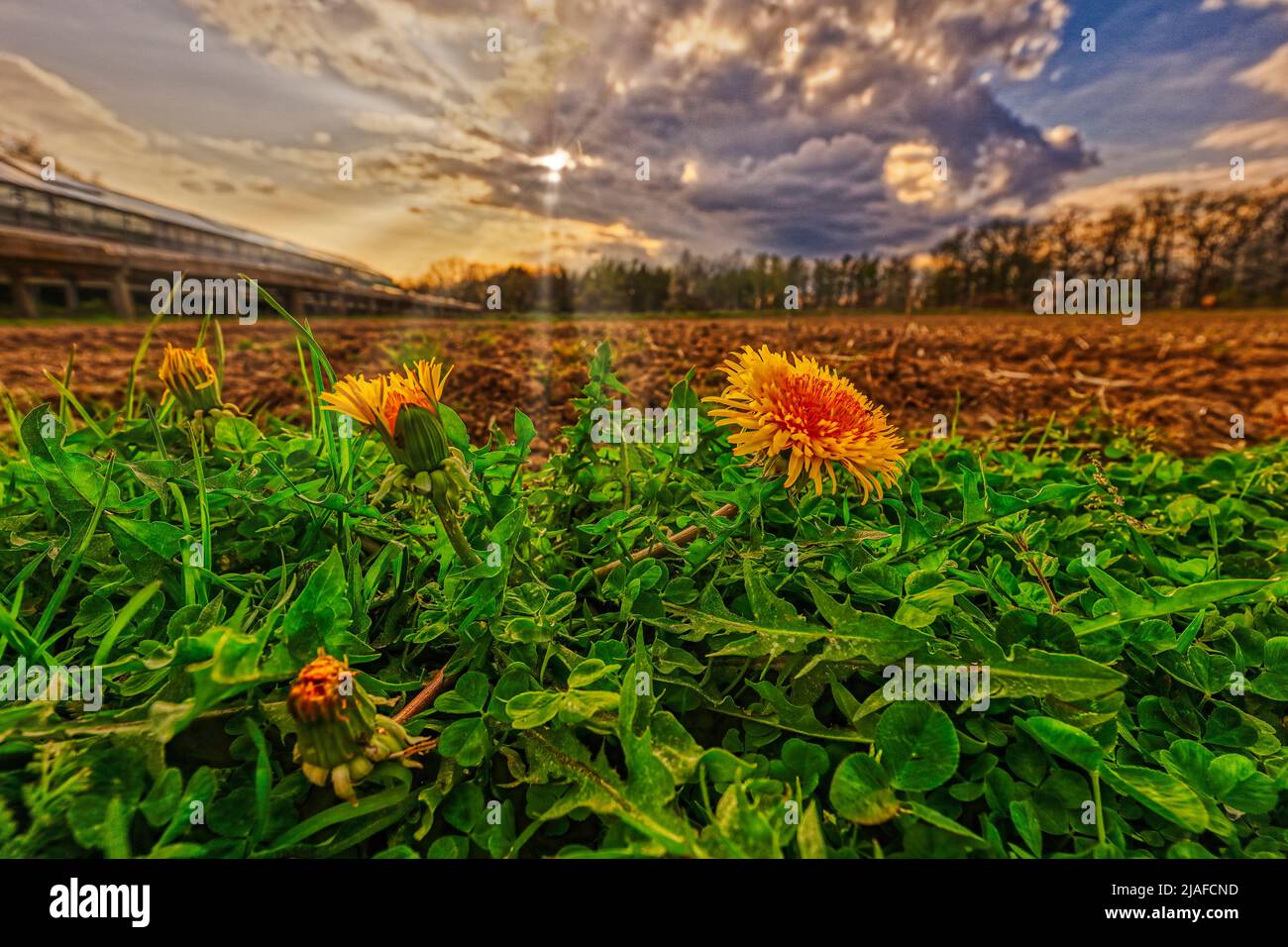 Hdri images hi-res stock photography and images - Alamy