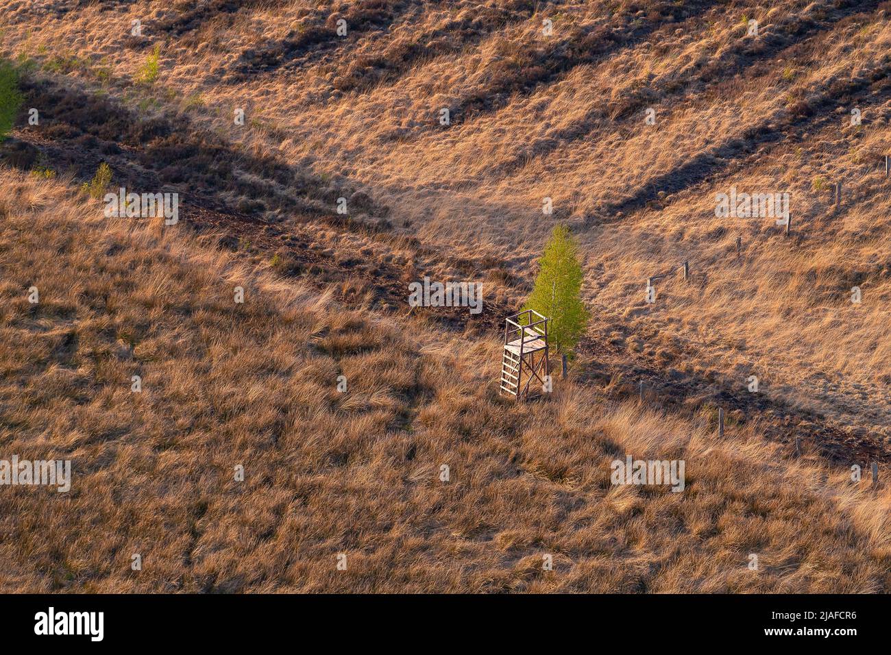 Moor landscape, renaturated high moor after peat harvest, 05/18/2022 ...