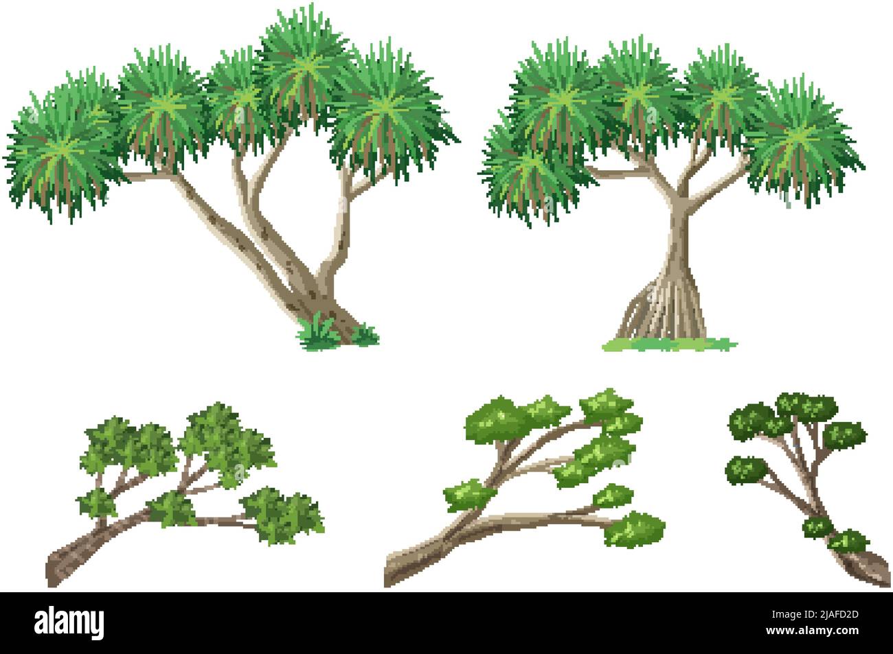 Set of nature forest elements illustration Stock Vector Image & Art - Alamy
