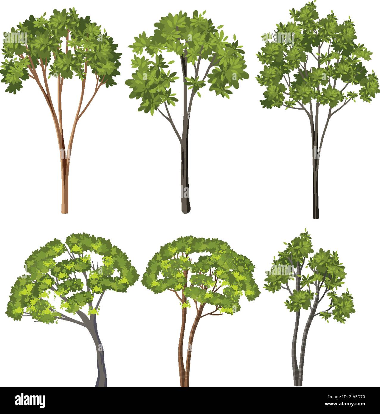 Isolated trees on white background illustration Stock Vector Image ...