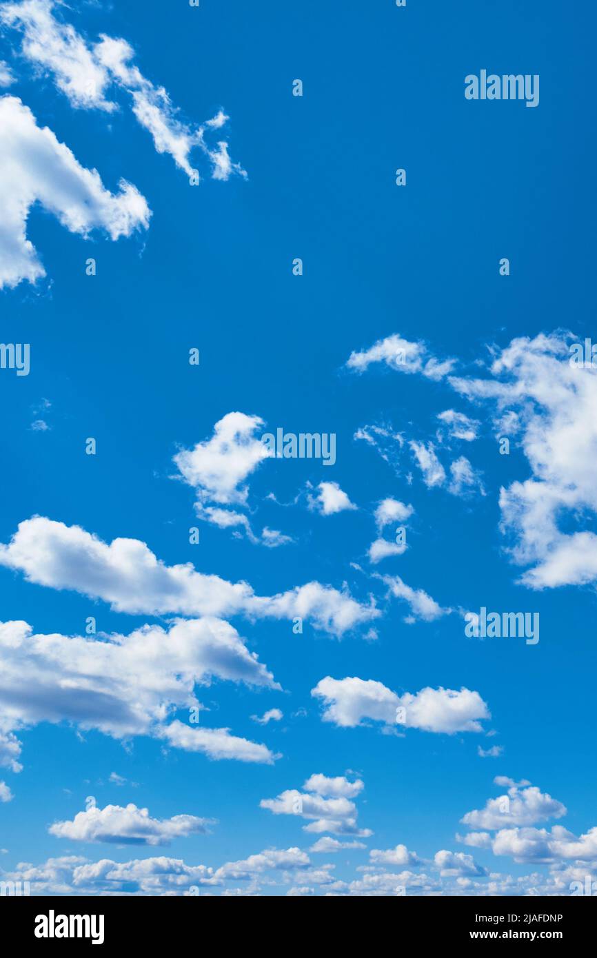 Vertical background of blue sky with white clouds Stock Photo - Alamy