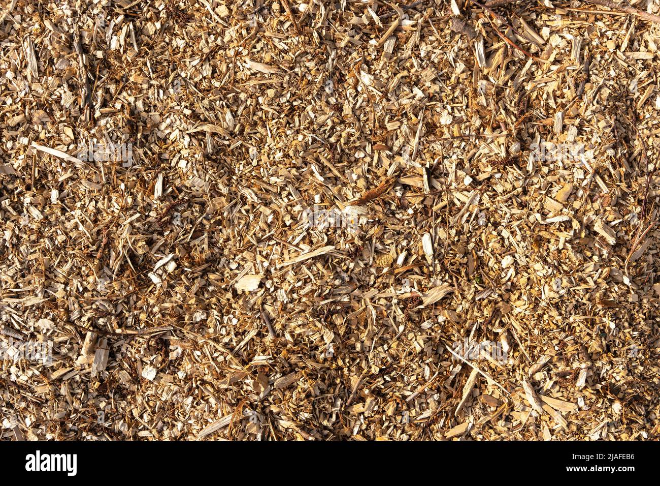 Wood Chips. Natural wood sawdust background. wood sawdust texture Stock ...