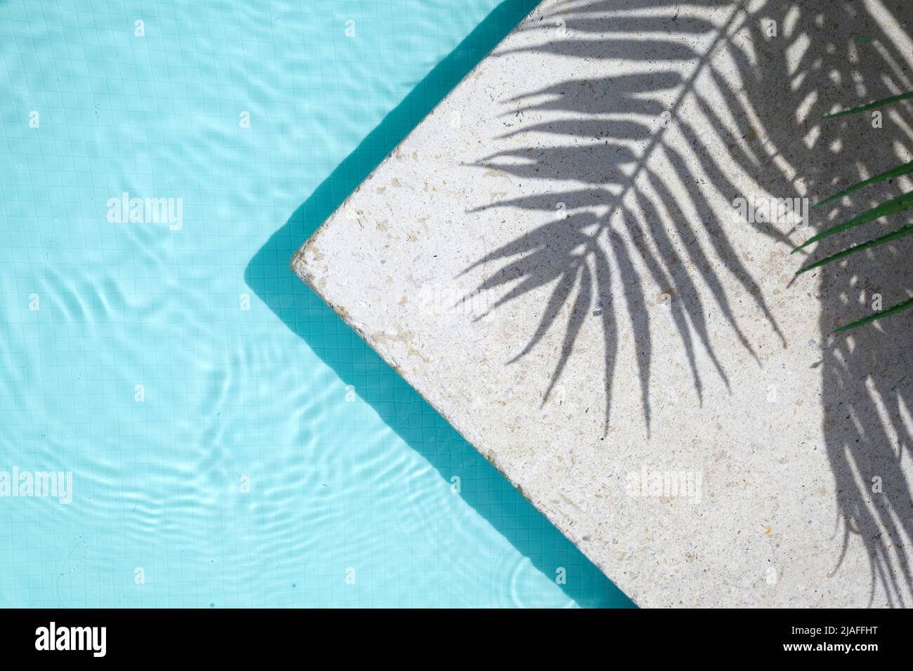 Swimming pool top view background. Water ring and palm shadow on ...