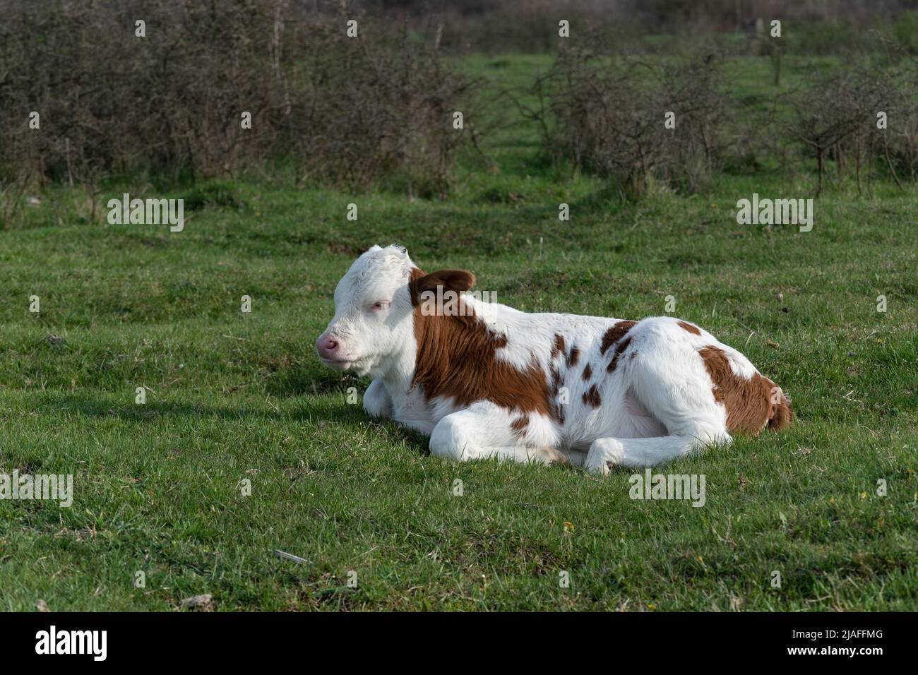 Rest look hi-res stock photography and images - Alamy