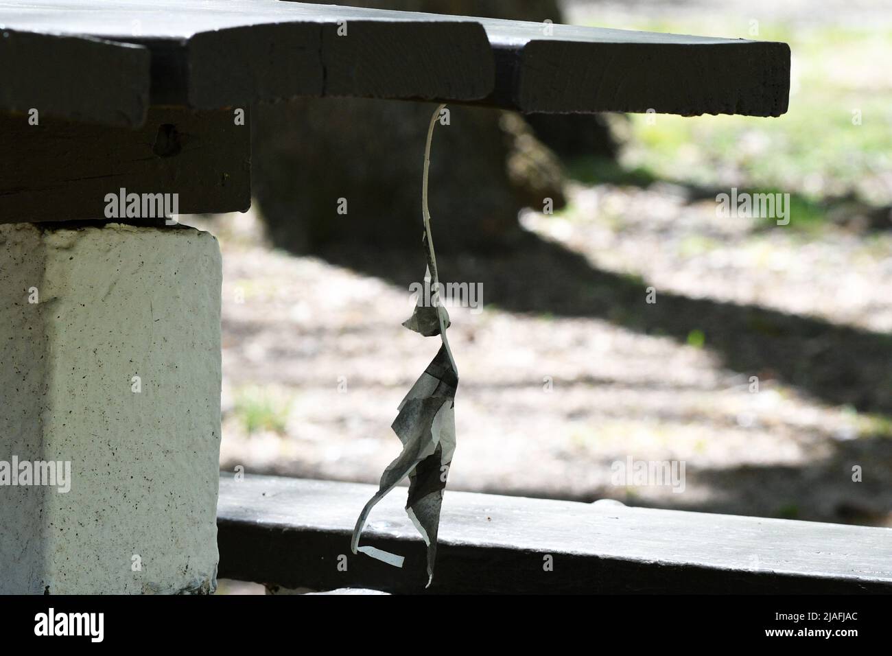 HANGMAN: A character created out of paper dangles by the neck from a ...