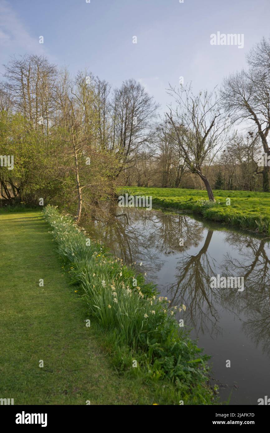 VIEWS OF RIVER FROME NEAR FARM IN WILTSHIRE AND SOMERSET BORDERS ...