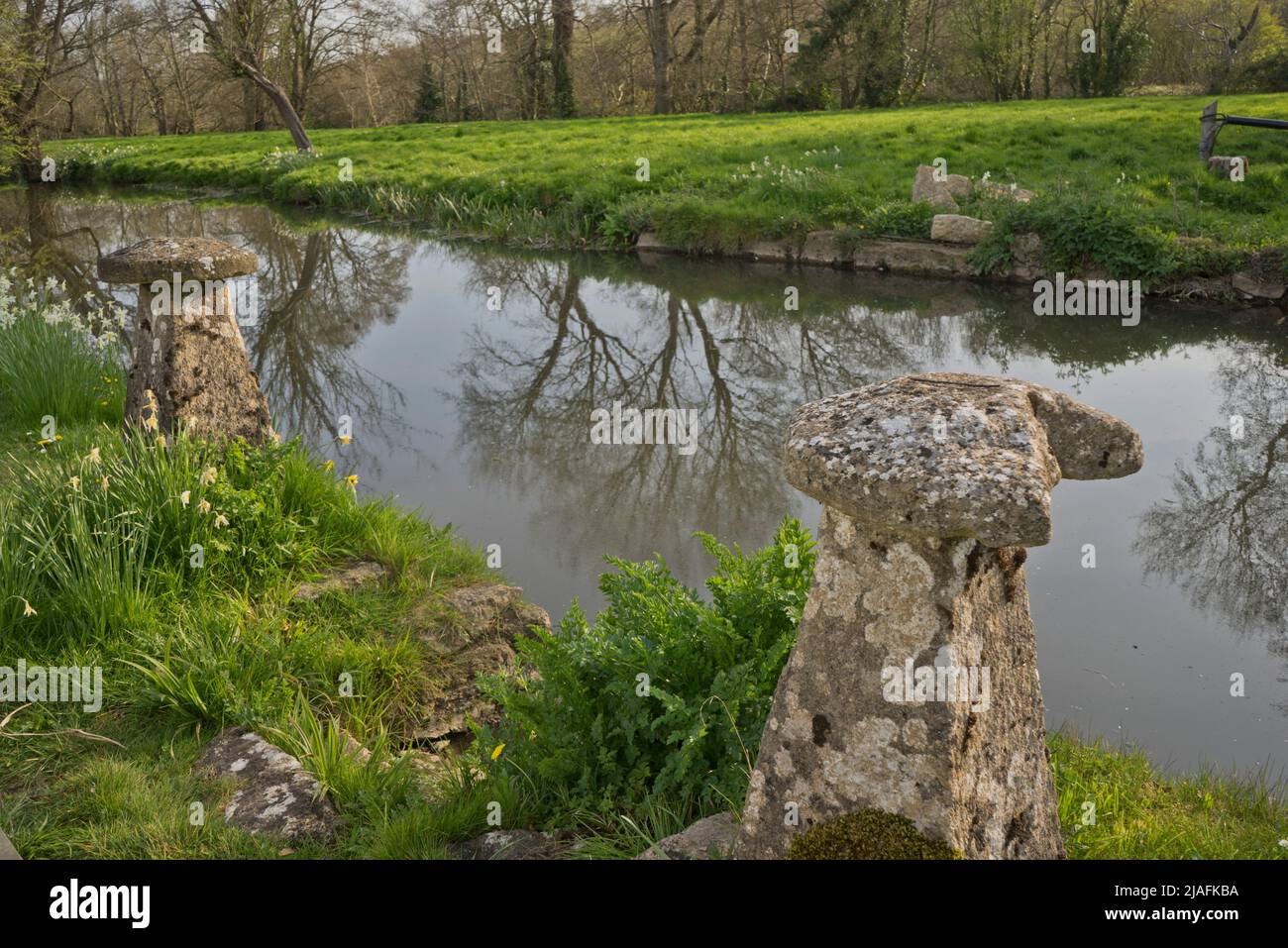 VIEWS OF RIVER FROME NEAR FARM IN WILTSHIRE AND SOMERSET BORDERS ...