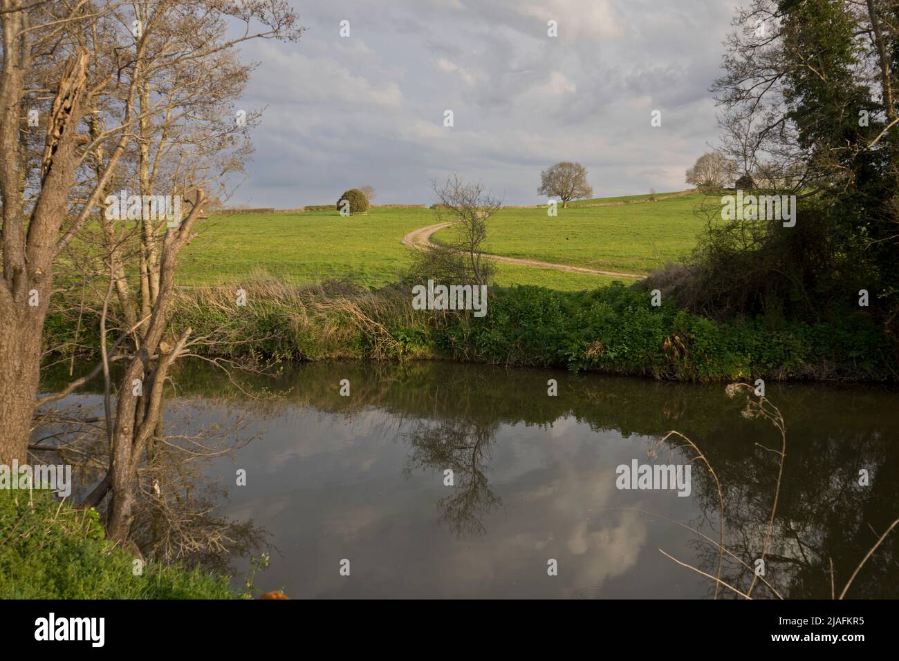 VIEWS OF RIVER FROME NEAR FARM IN WILTSHIRE AND SOMERSET BORDERS ...