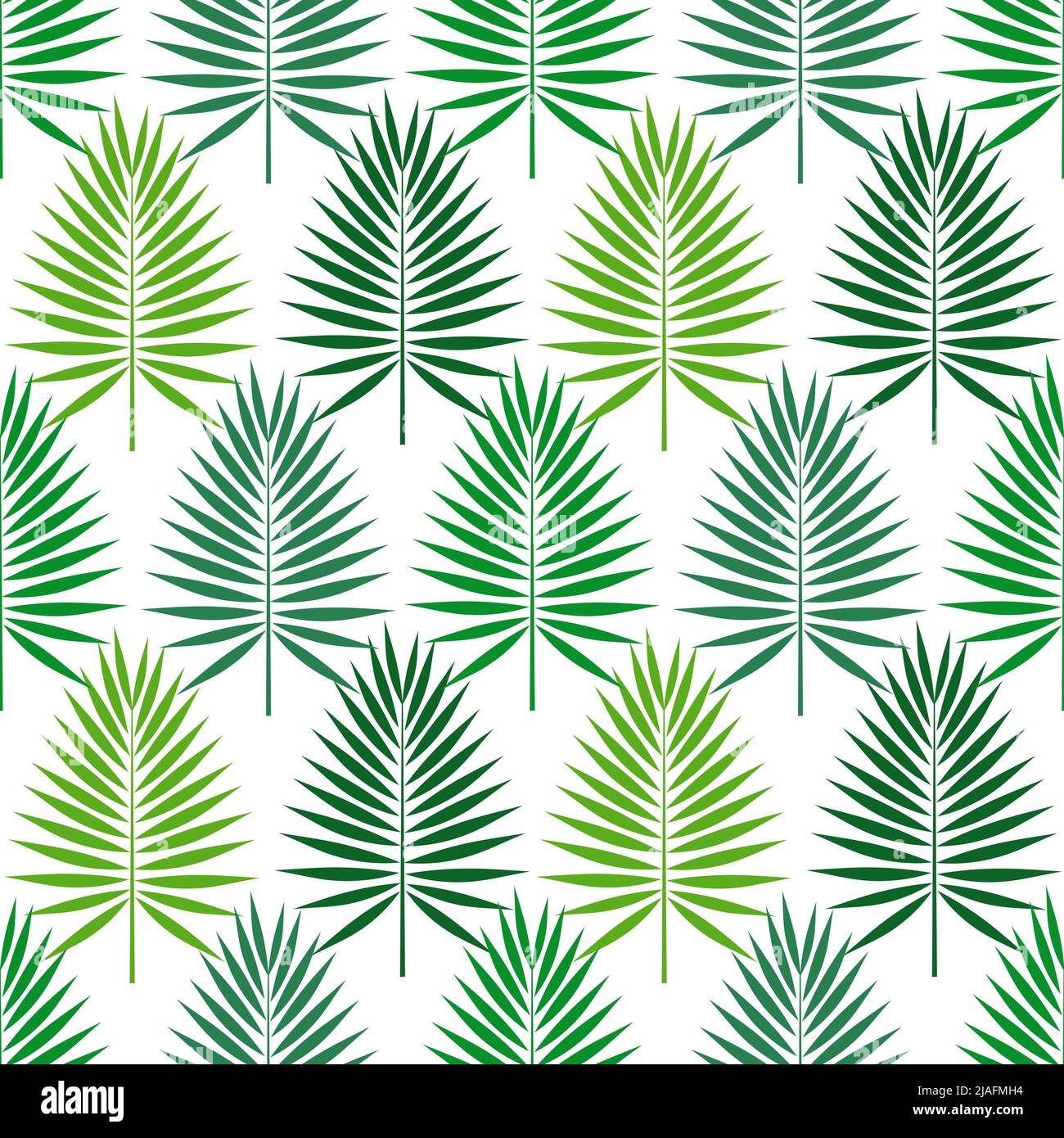 Palm leaves green botanical seamless pattern. Vector illustration Stock ...