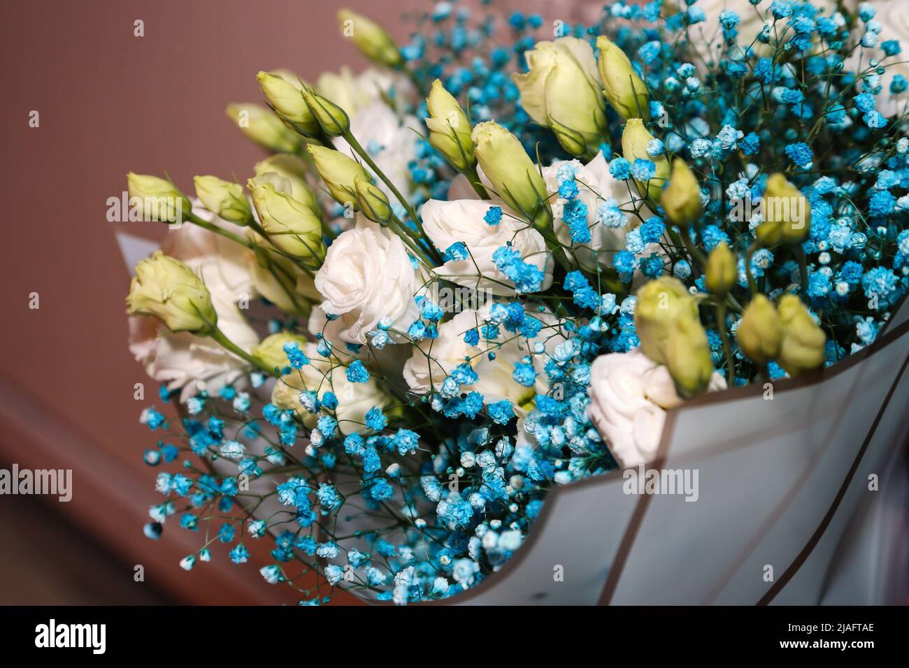 A large bouquet of flowers of white gypsophila and blue eustoma as a ...