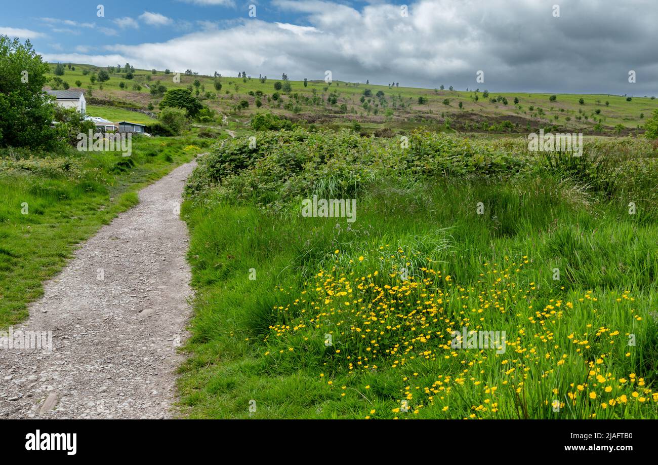 Walk to the top of baildon hill hi-res stock photography and images - Alamy