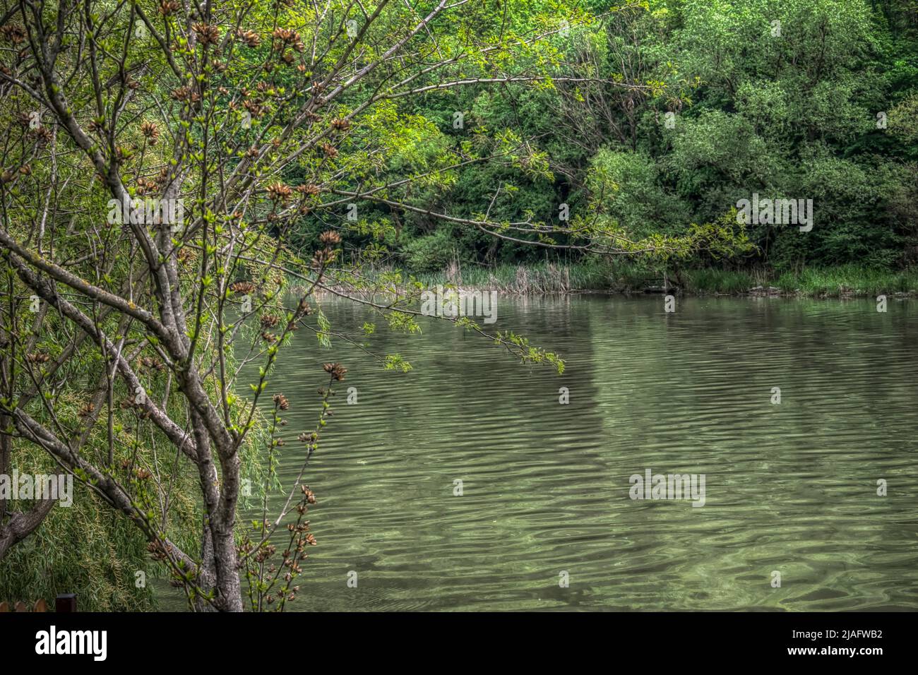 Morava river hi-res stock photography and images - Alamy