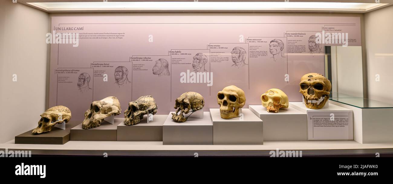 Barcelona, Spain. Artefacts and interior of the Catalan Museum of ...