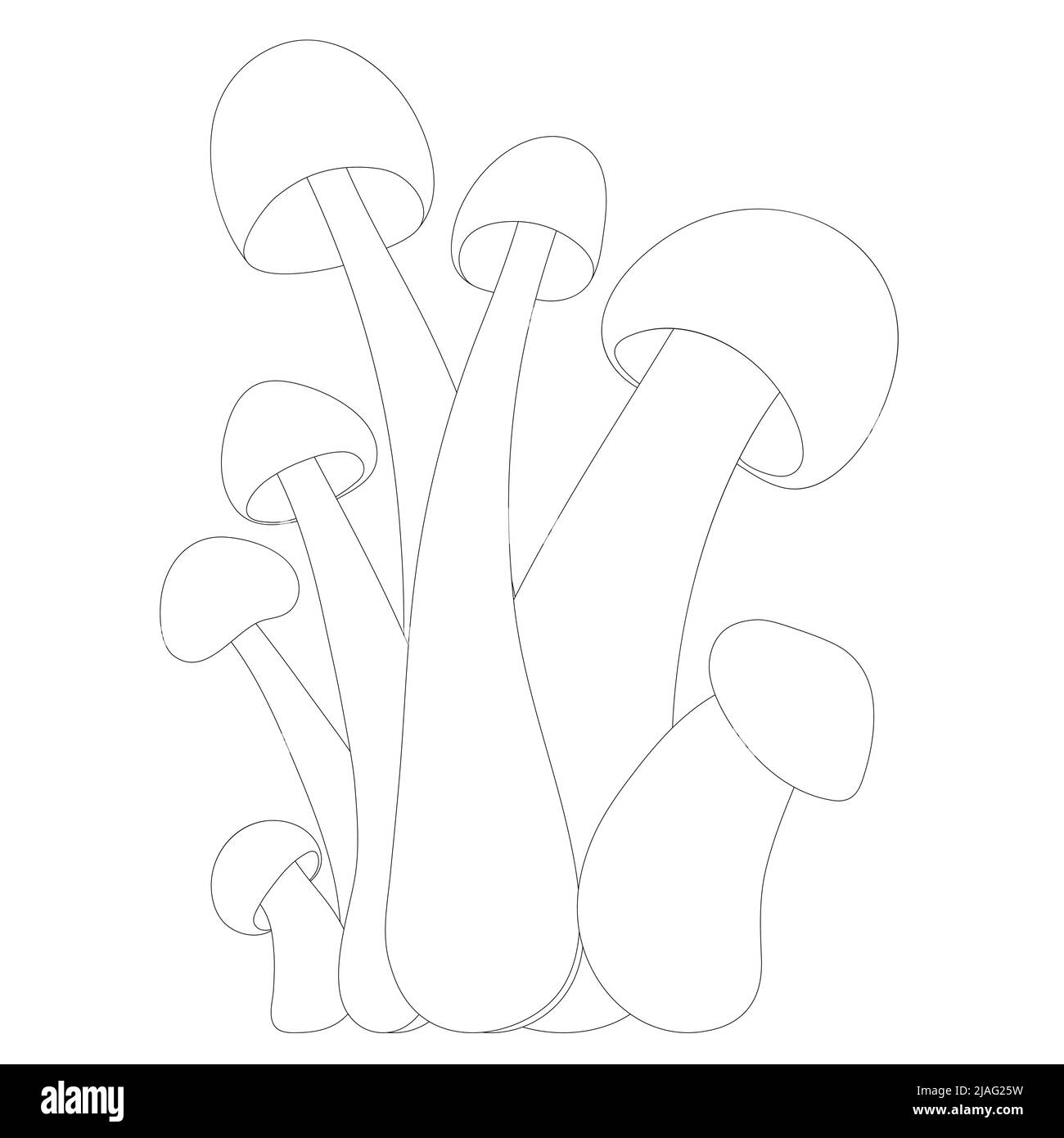 Set of mushrooms vector simple illustration isolated on white ...