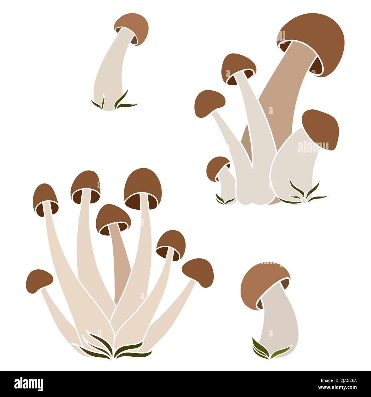 Set of mushrooms vector simple illustration isolated on white ...