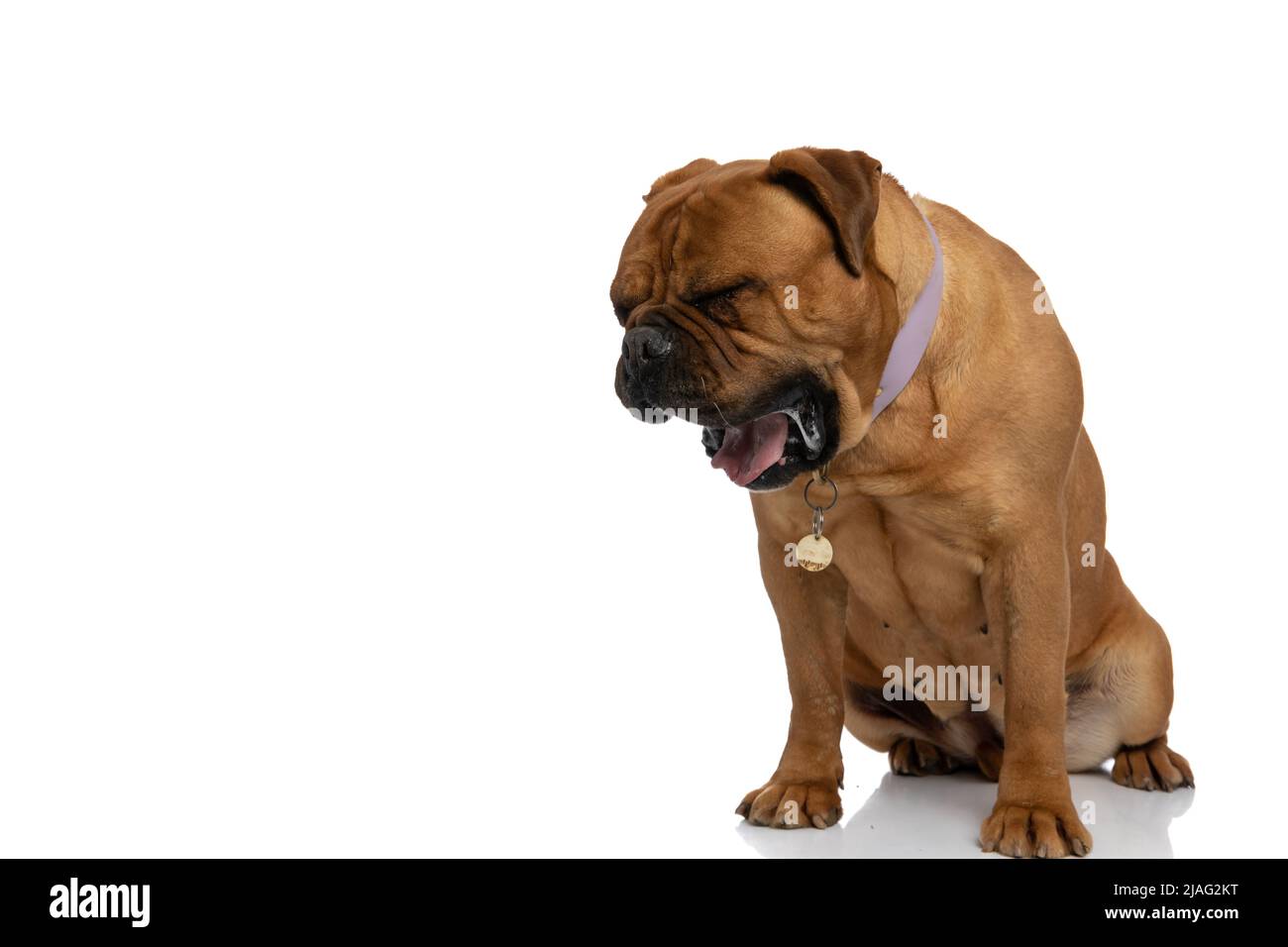 Tongue out drooling Cut Out Stock Images & Pictures - Alamy
