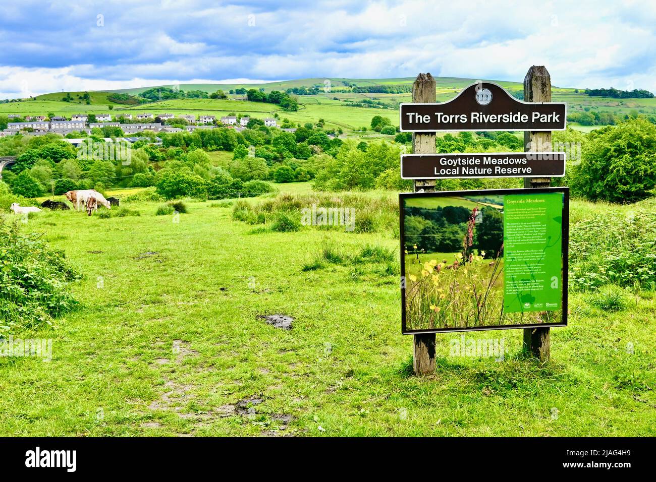 The Torrs Riverside Park, New Mills, Derbyshire Stock Photo - Alamy
