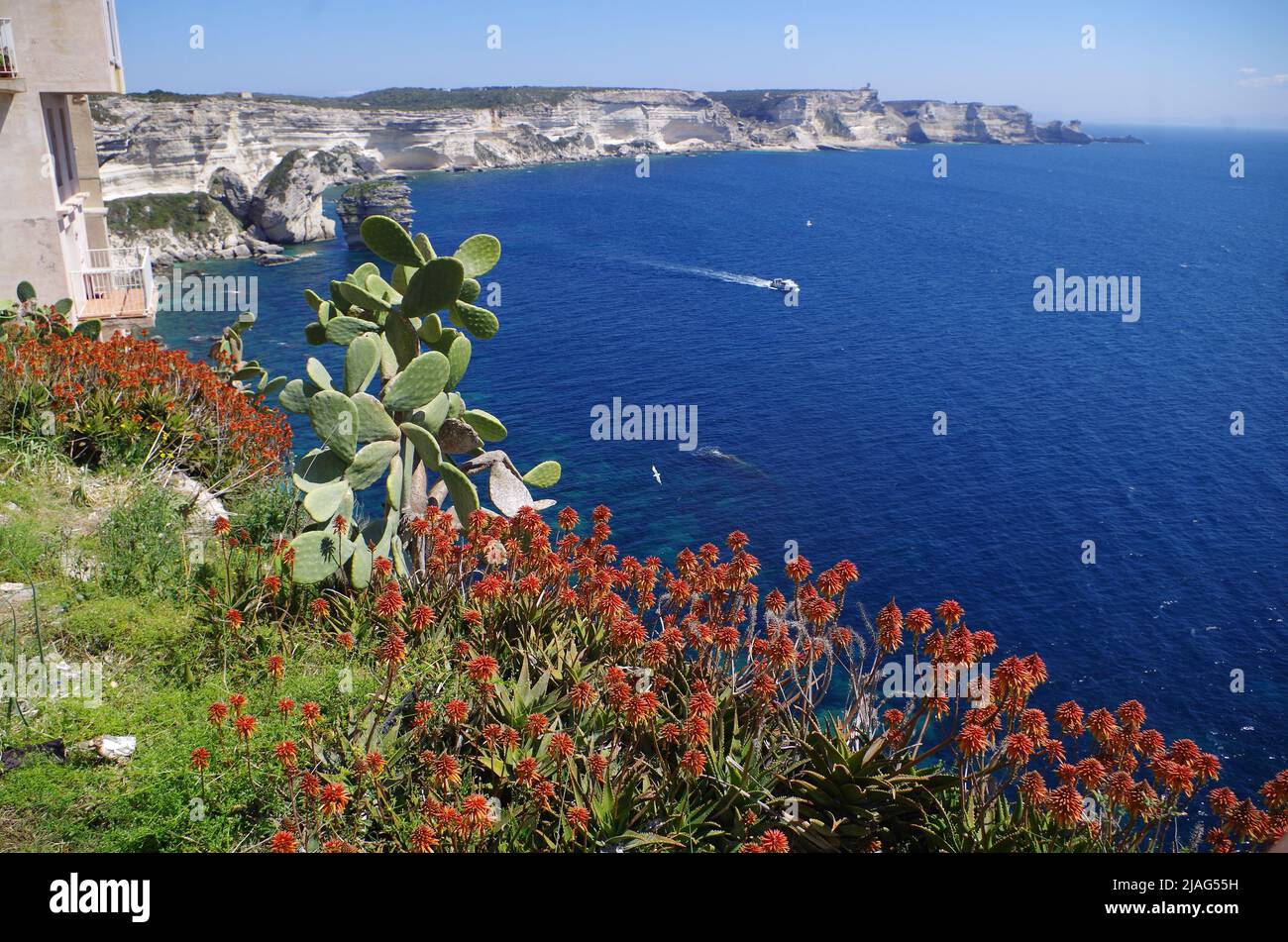 A fiew on the middle Ocean from Bonifacio Stock Photo - Alamy