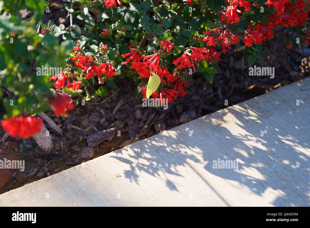 Best spider photo hi-res stock photography and images - Alamy