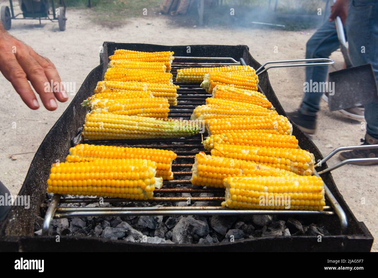 Corn cobs on the grill are cooking. Roasted corn. A man cooks corn cobs ...