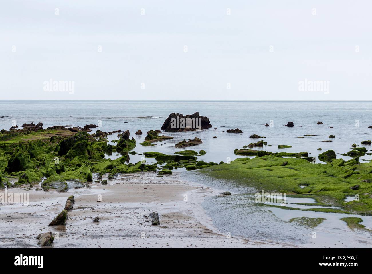 barrika beach on the basque coast in spring with the green rocks Stock ...