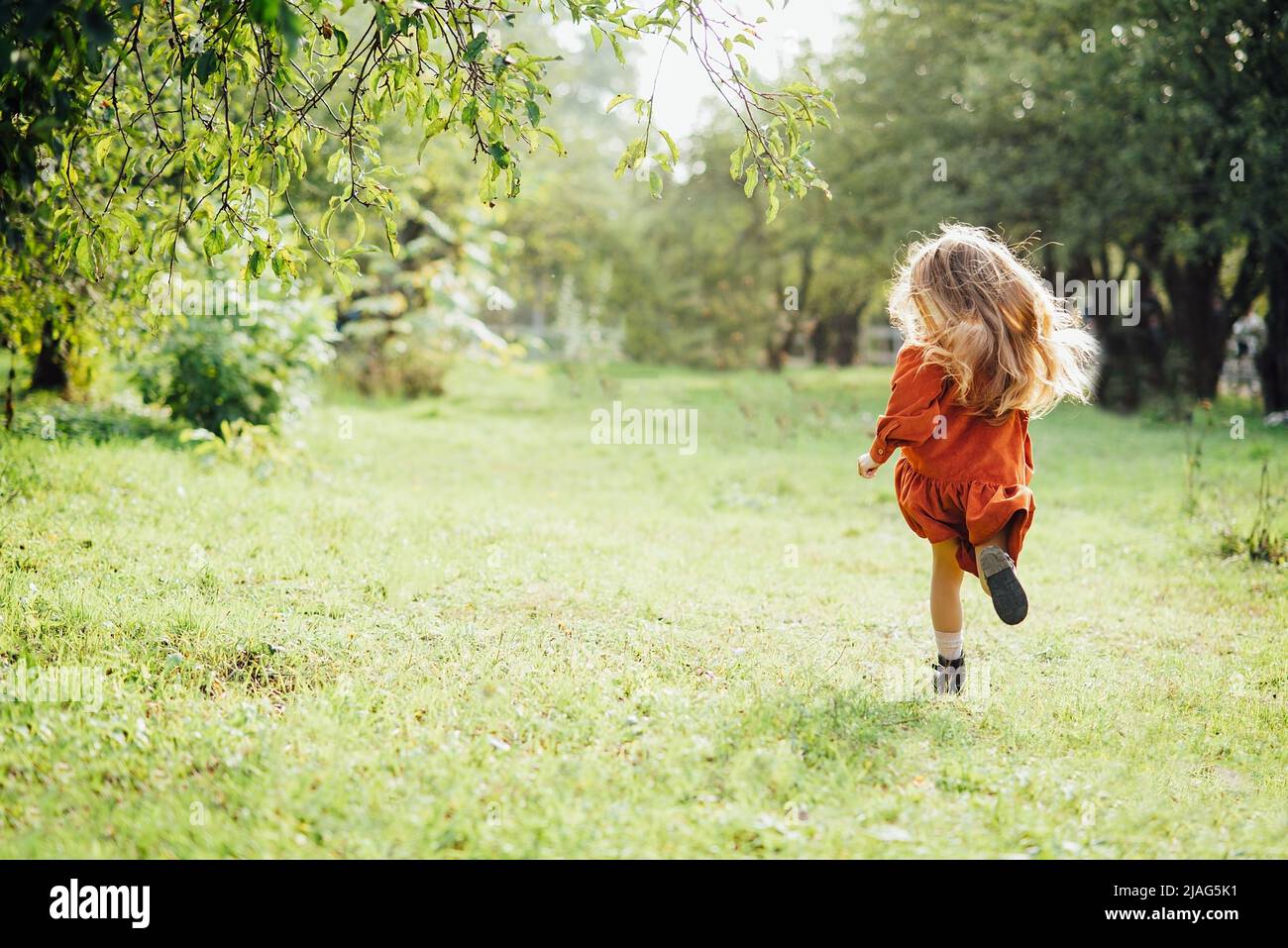 Child whirling, dancing plays on meadow. Girl having fun at nature. Cute little longhair blonde ...