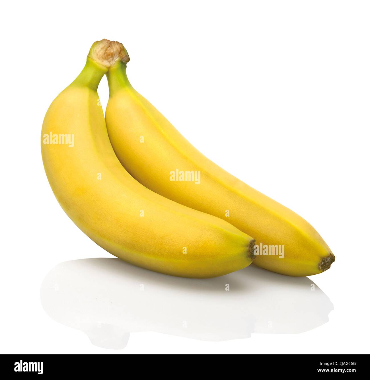 two bananas isolated on a white background Stock Photo - Alamy