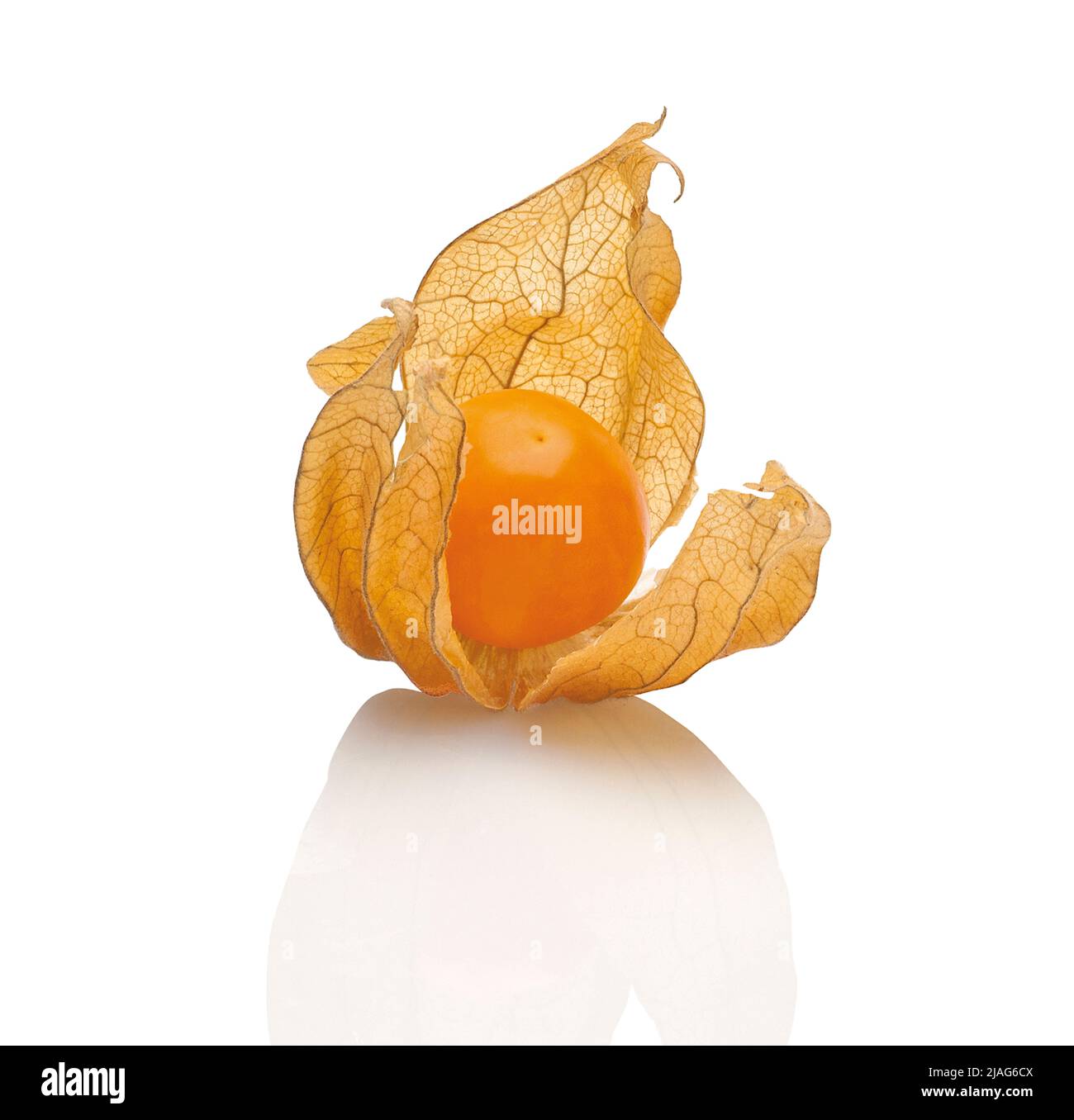 beautiful and tasty fruit,physalis,isolated on a white background Stock ...