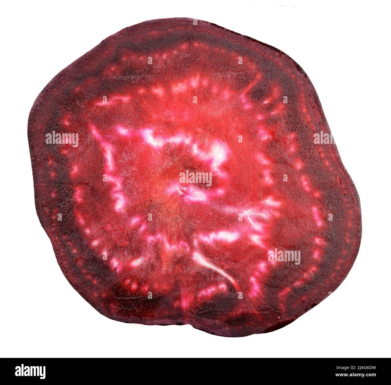 Beetroot isolated on white background Stock Photo - Alamy