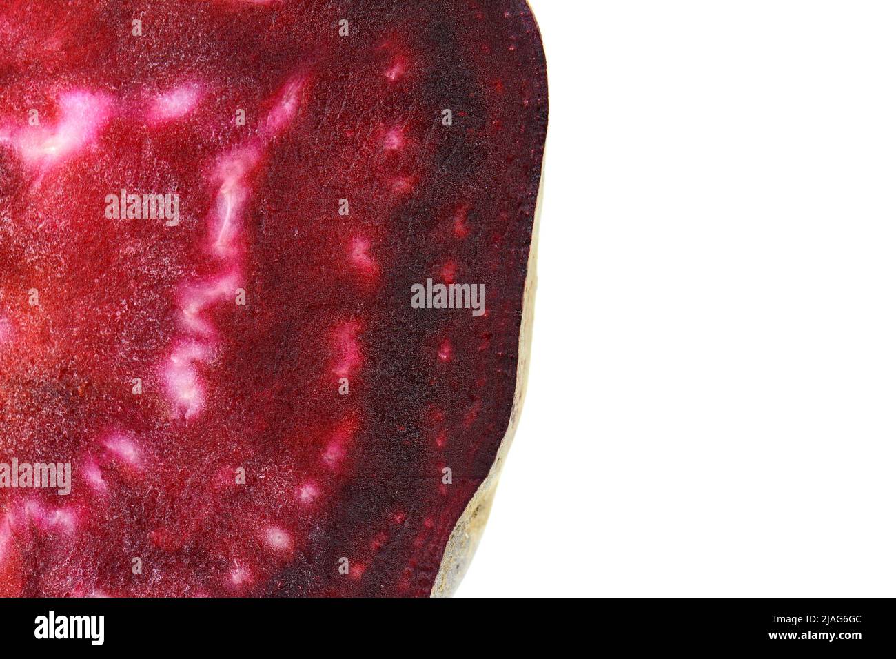 Macro beetroot texture. Beetroot slice closeup. Beetroot slice ...