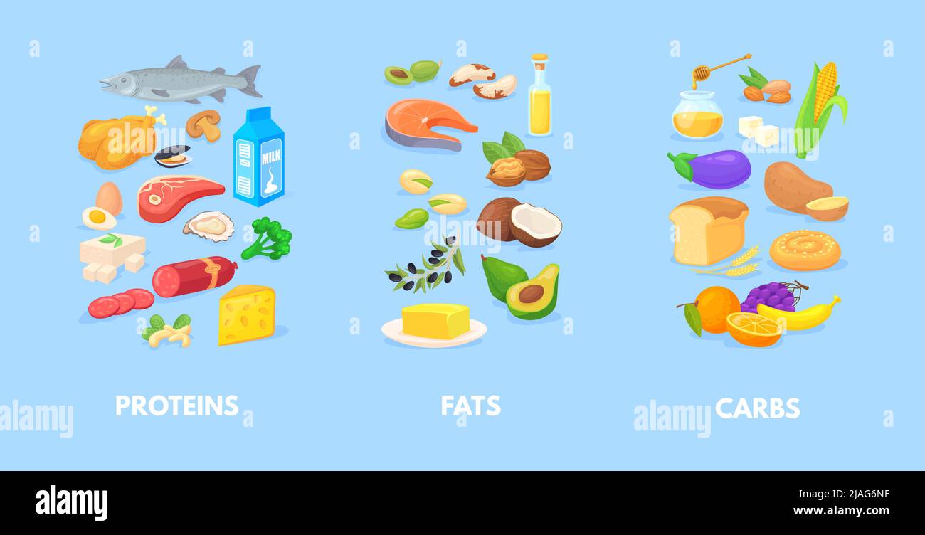 Proteins Food Clipart School