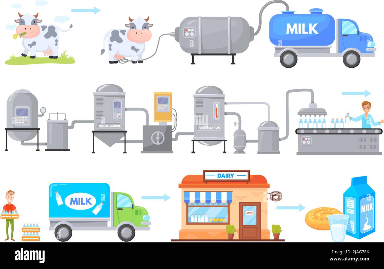 Milk manufacturing. Dairy factory production process, manufacture chain ...