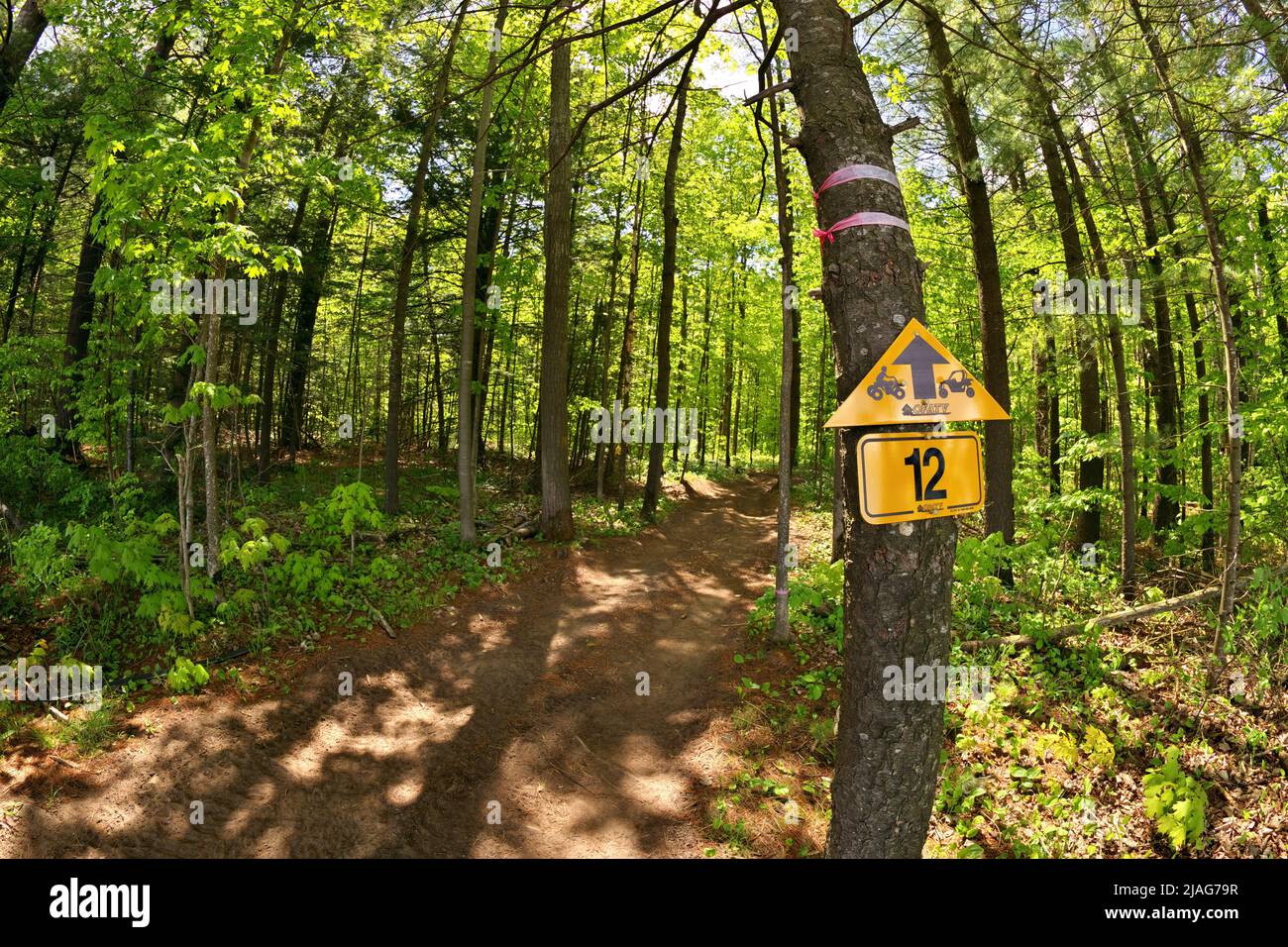 An OFATV ATV and dirtbike Multi-Use or Multipurpose Trail in Phelpston ...