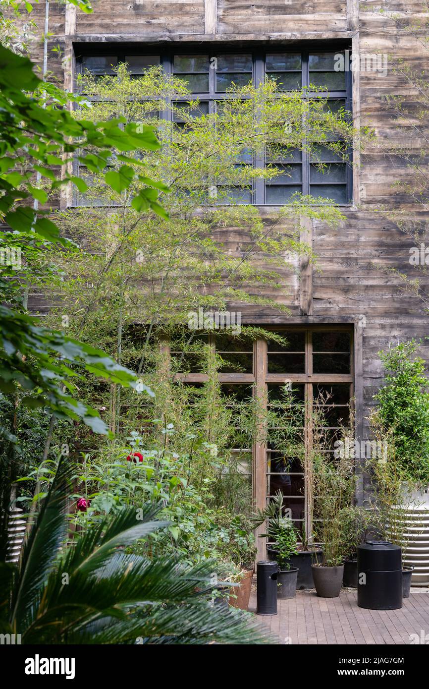 Landscaping of urban public spaces with different potted plants ...