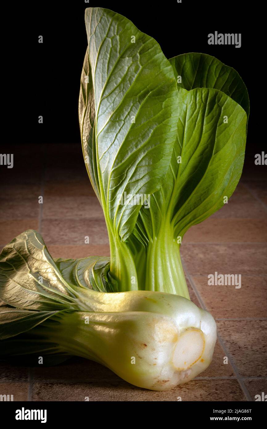 Bok Choy, Pak Choi or Pok Choi (Brassica rapa subsp. chinensis) is a ...