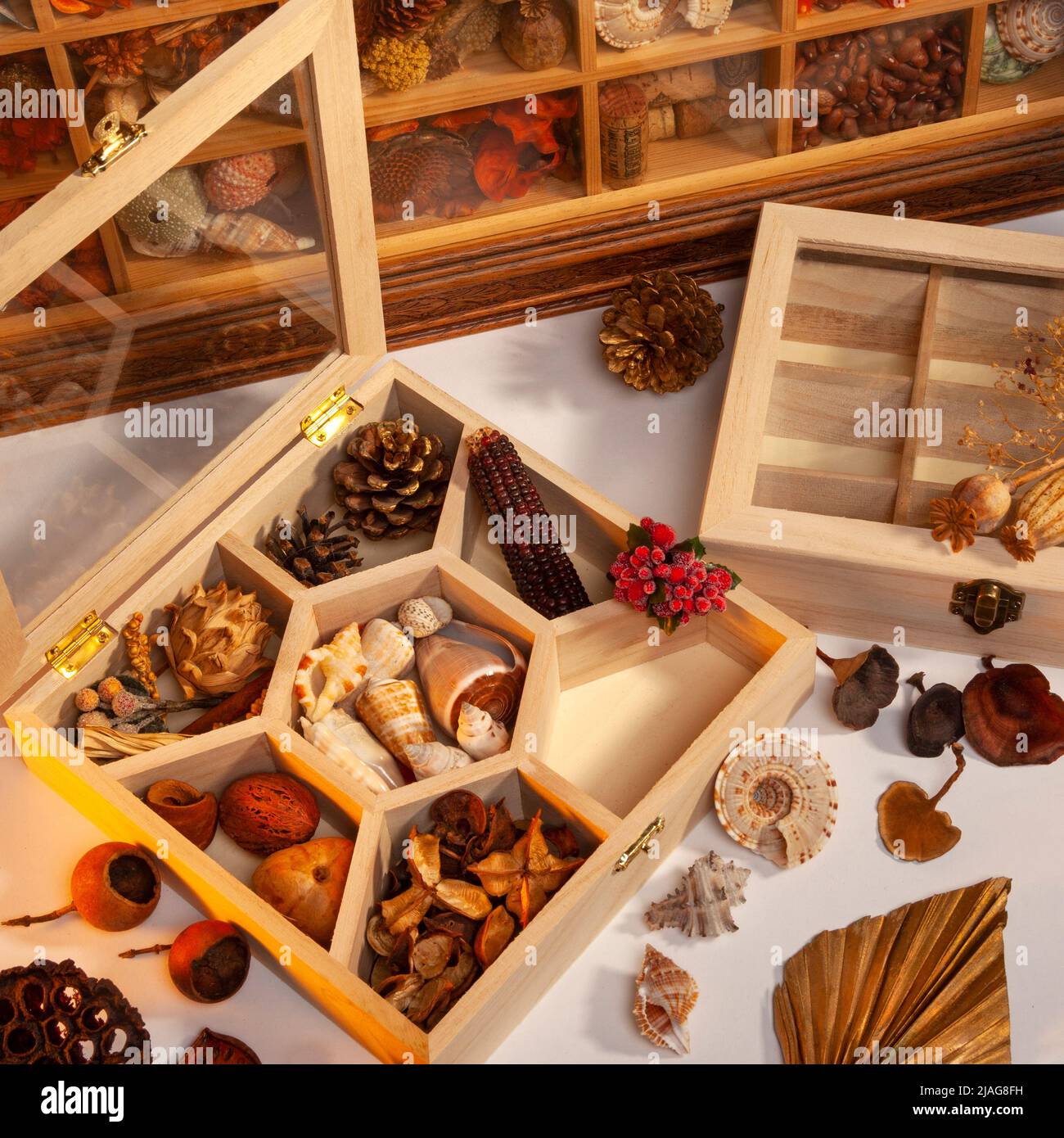 Arts and Crafts - making display boxes from assorted natural objects ...