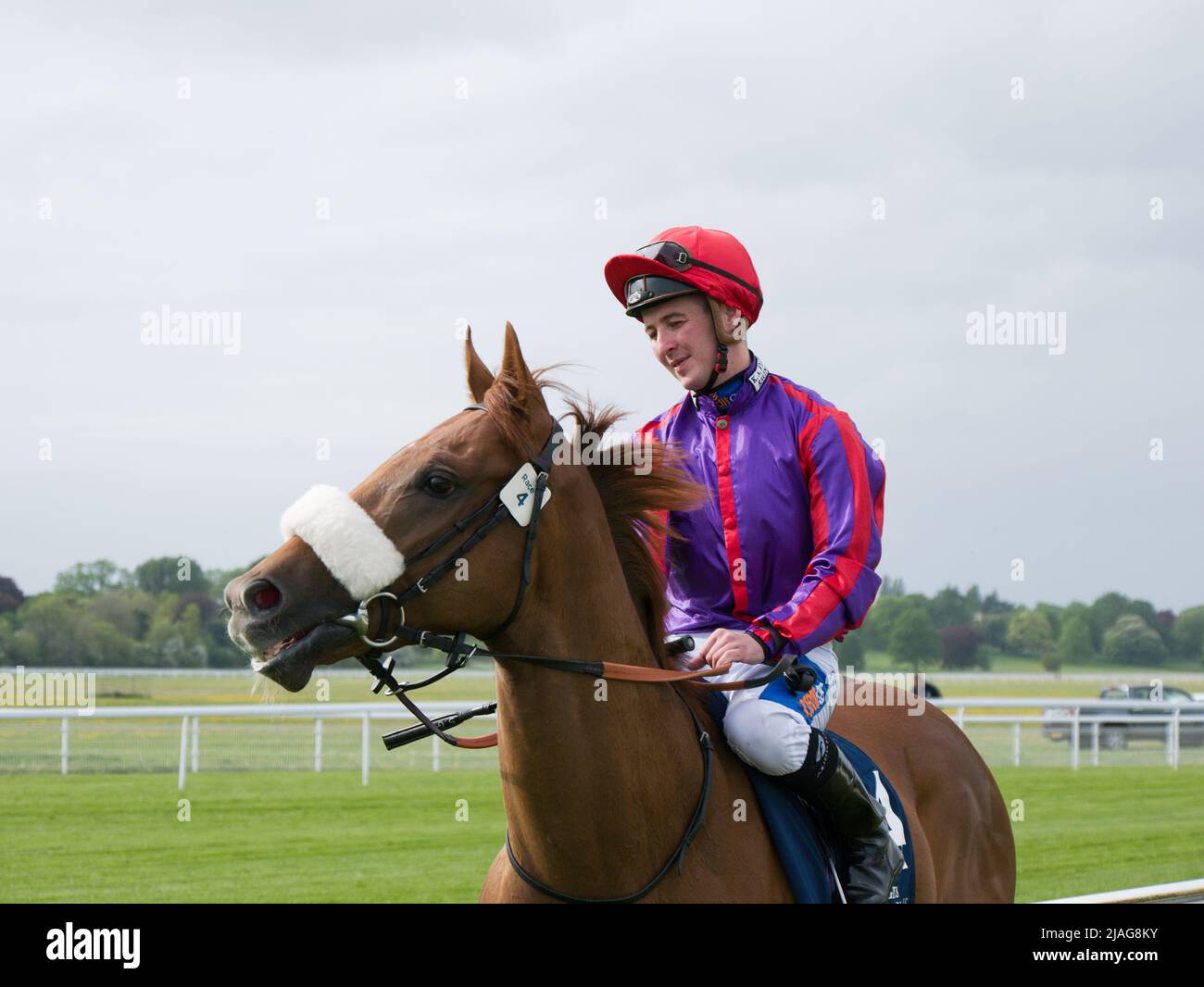 Jockey Shane Gray on Melayu Kingdom at York Races Stock Photo - Alamy